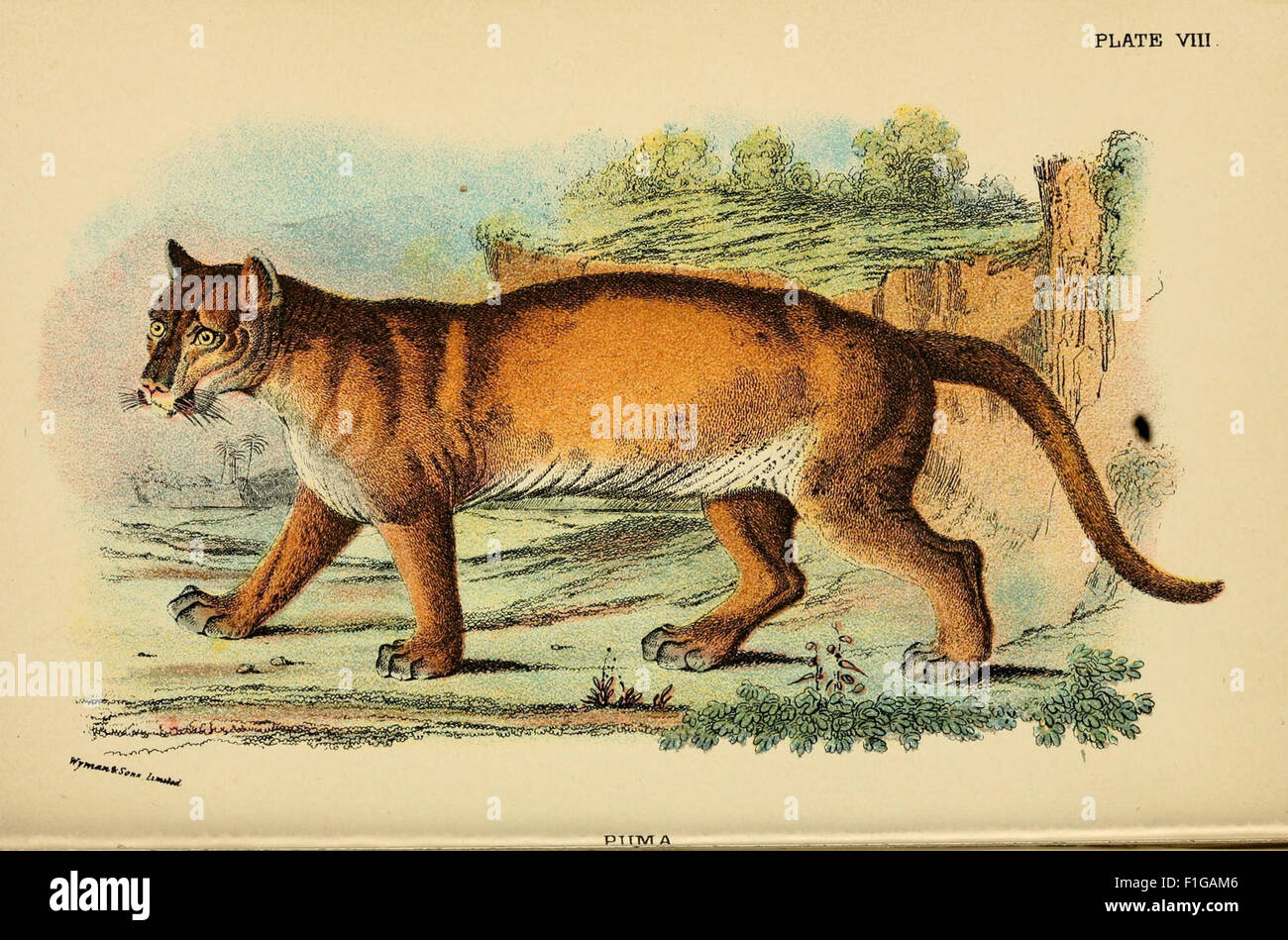 This handbook provides detailed descriptions and classifications of ...