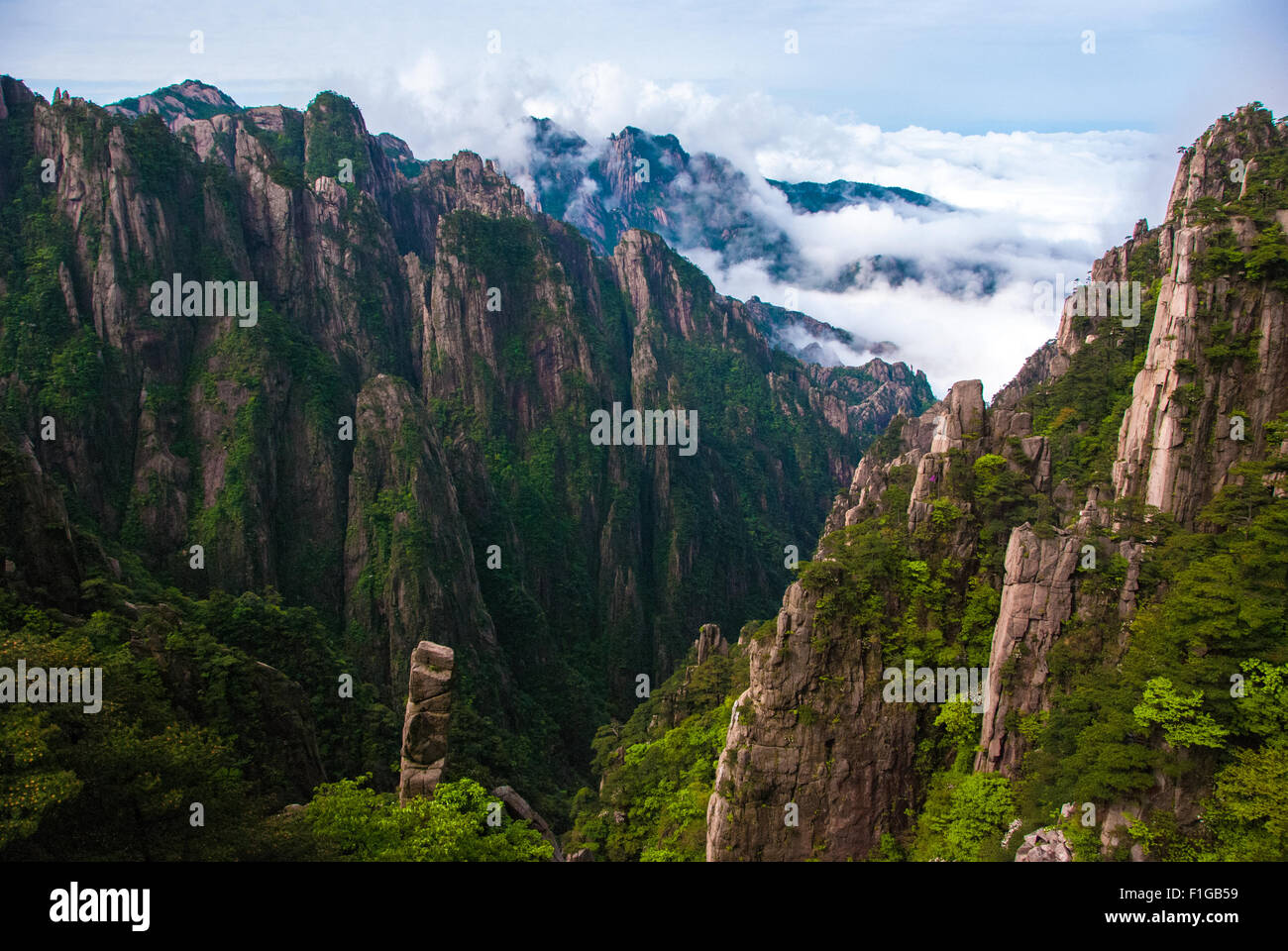 Yellow formation hi-res stock photography and images - Alamy