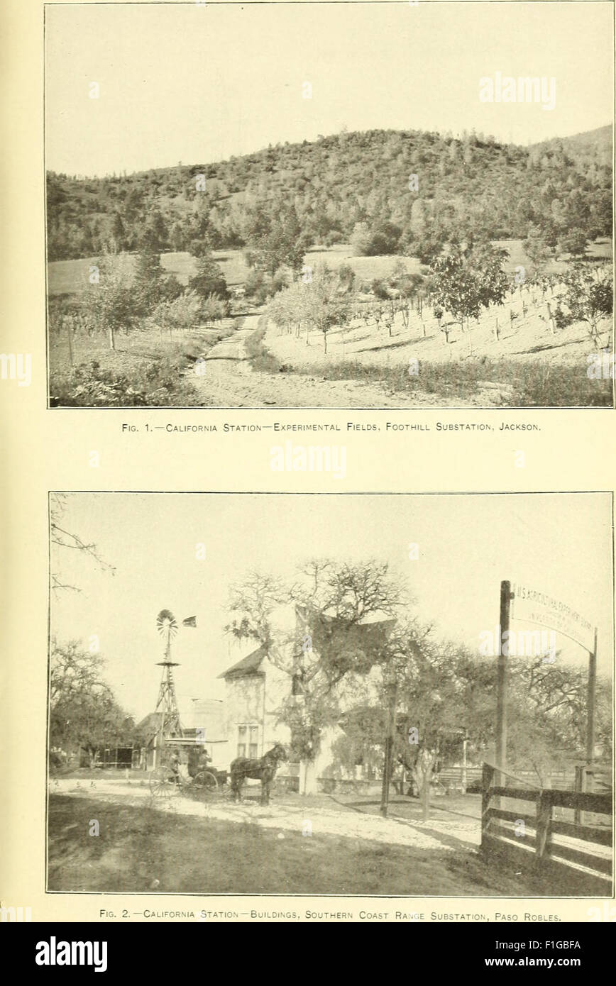 The agricultural experiment stations in the United States (1900 Stock ...