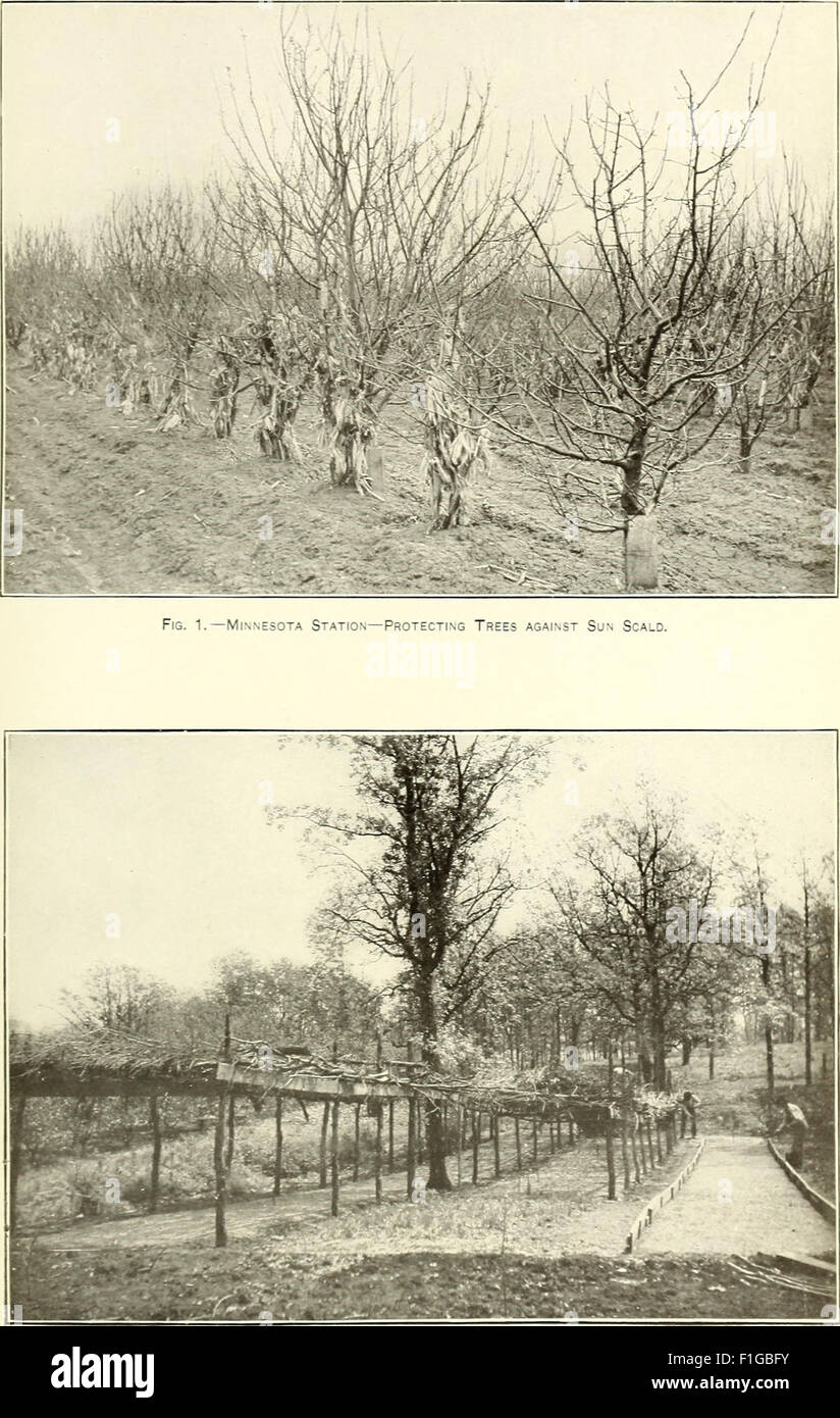 This book from 1900 provides a detailed account of agricultural ...