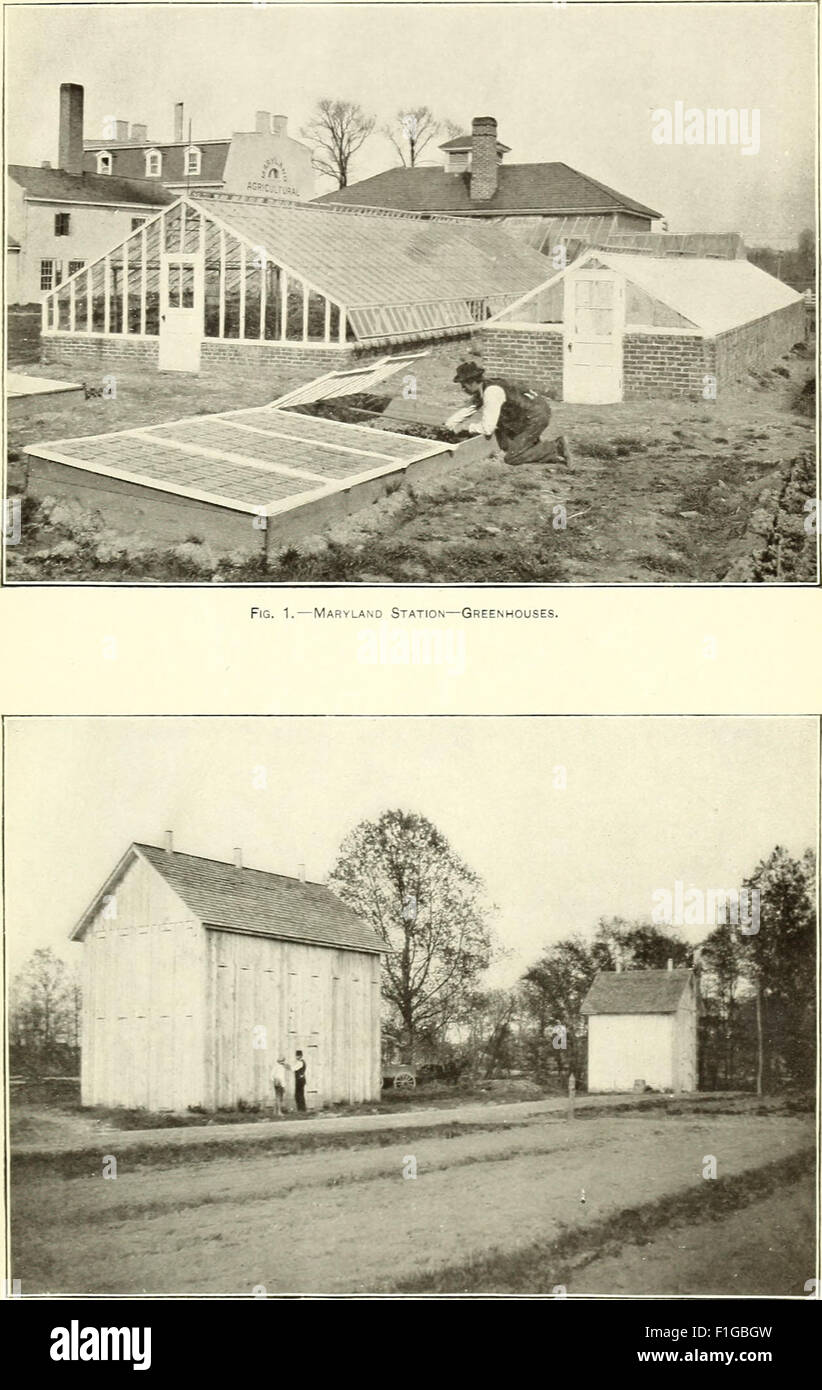 The agricultural experiment stations in the United States (1900 Stock ...