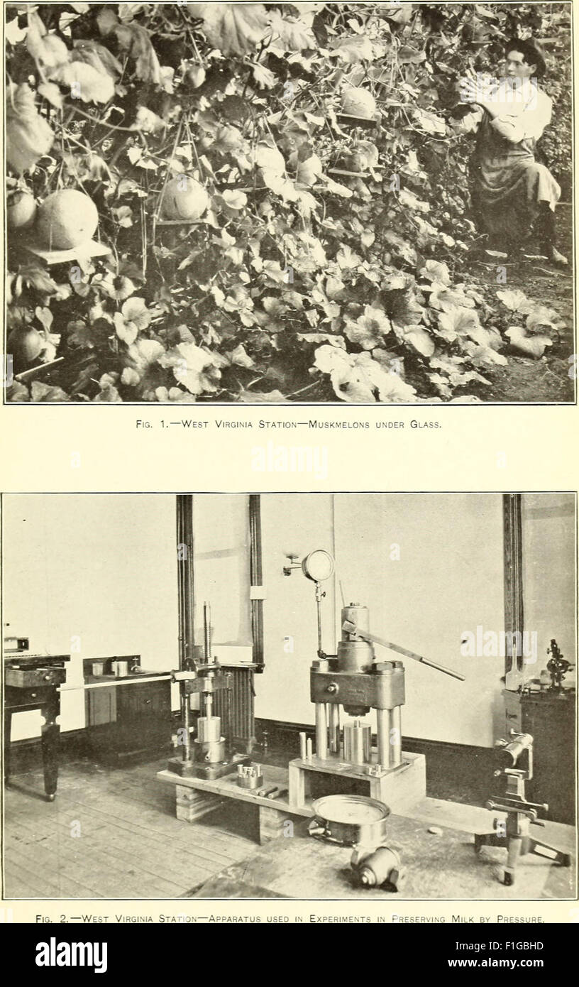 The agricultural experiment stations in the United States (1900 Stock ...