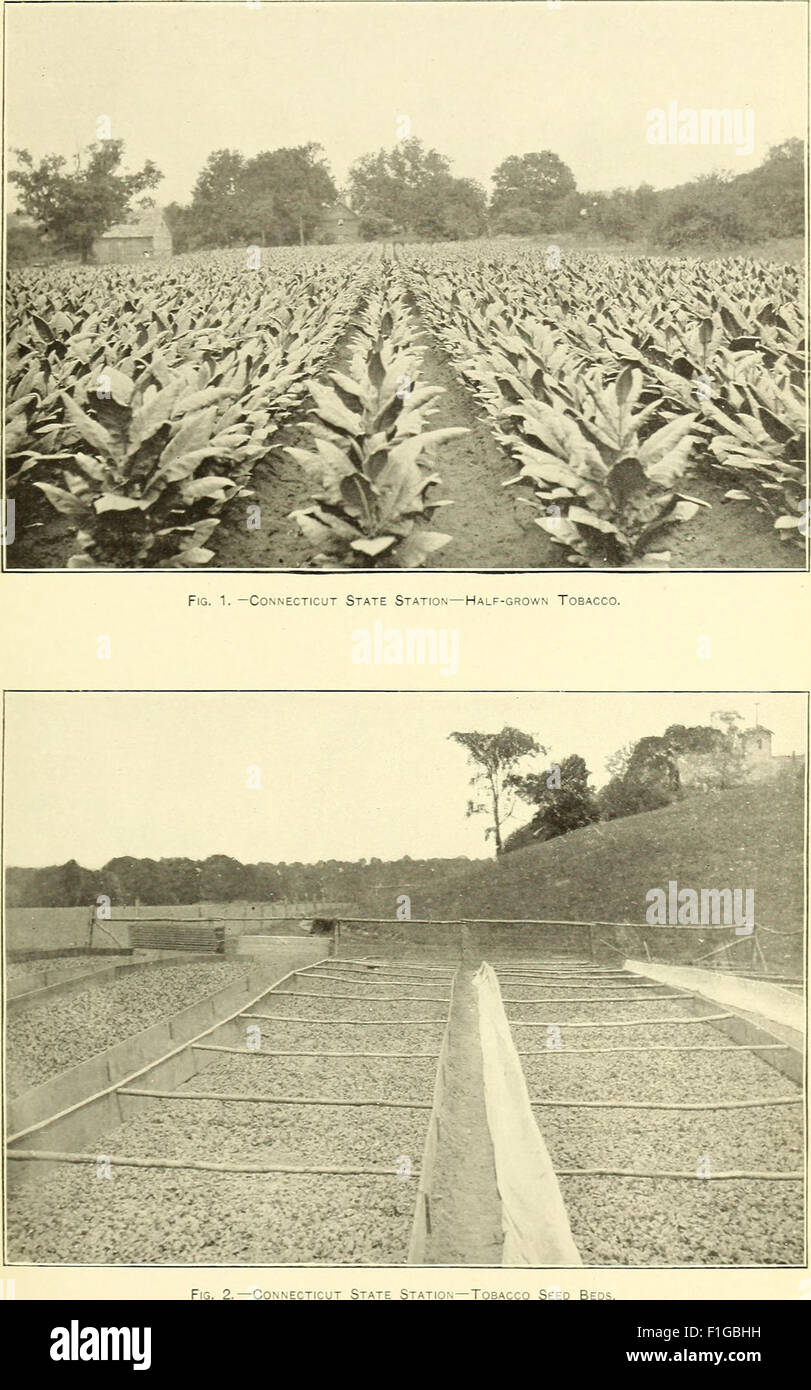 The agricultural experiment stations in the United States (1900 Stock ...