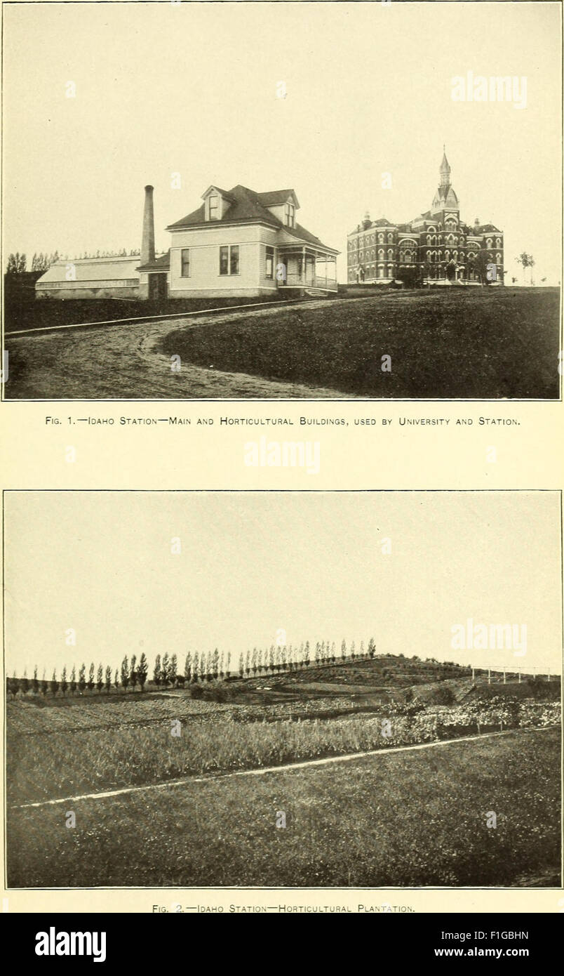 A 1900 report detailing the work and findings of agricultural ...