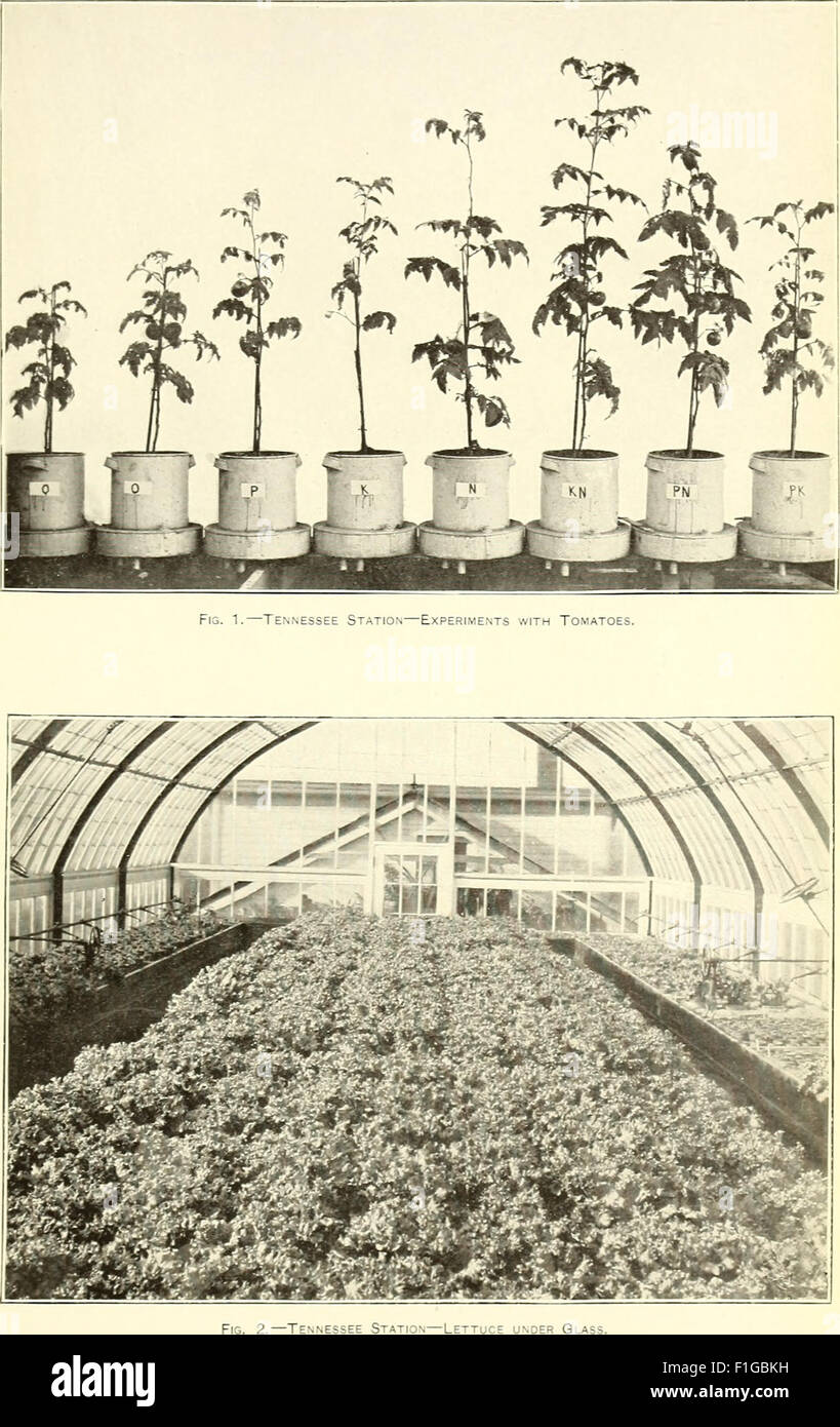 The agricultural experiment stations in the United States (1900 Stock ...