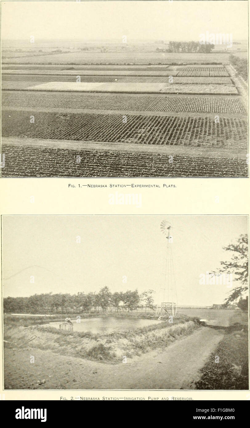 The agricultural experiment stations in the United States (1900 Stock ...