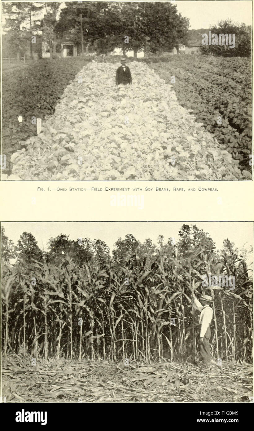 This 1900 report highlights the role of agricultural experiment ...