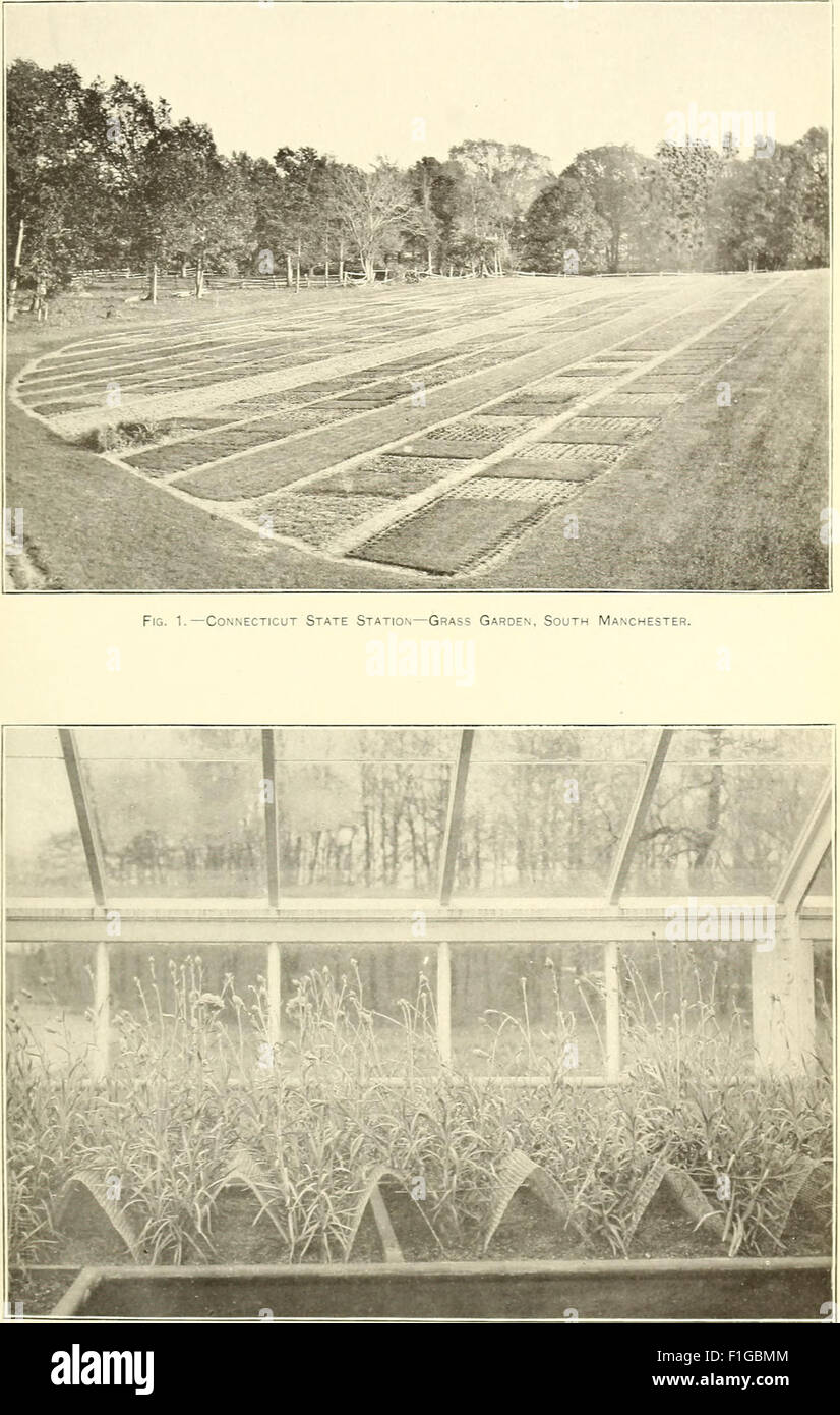 The agricultural experiment stations in the United States (1900 Stock ...