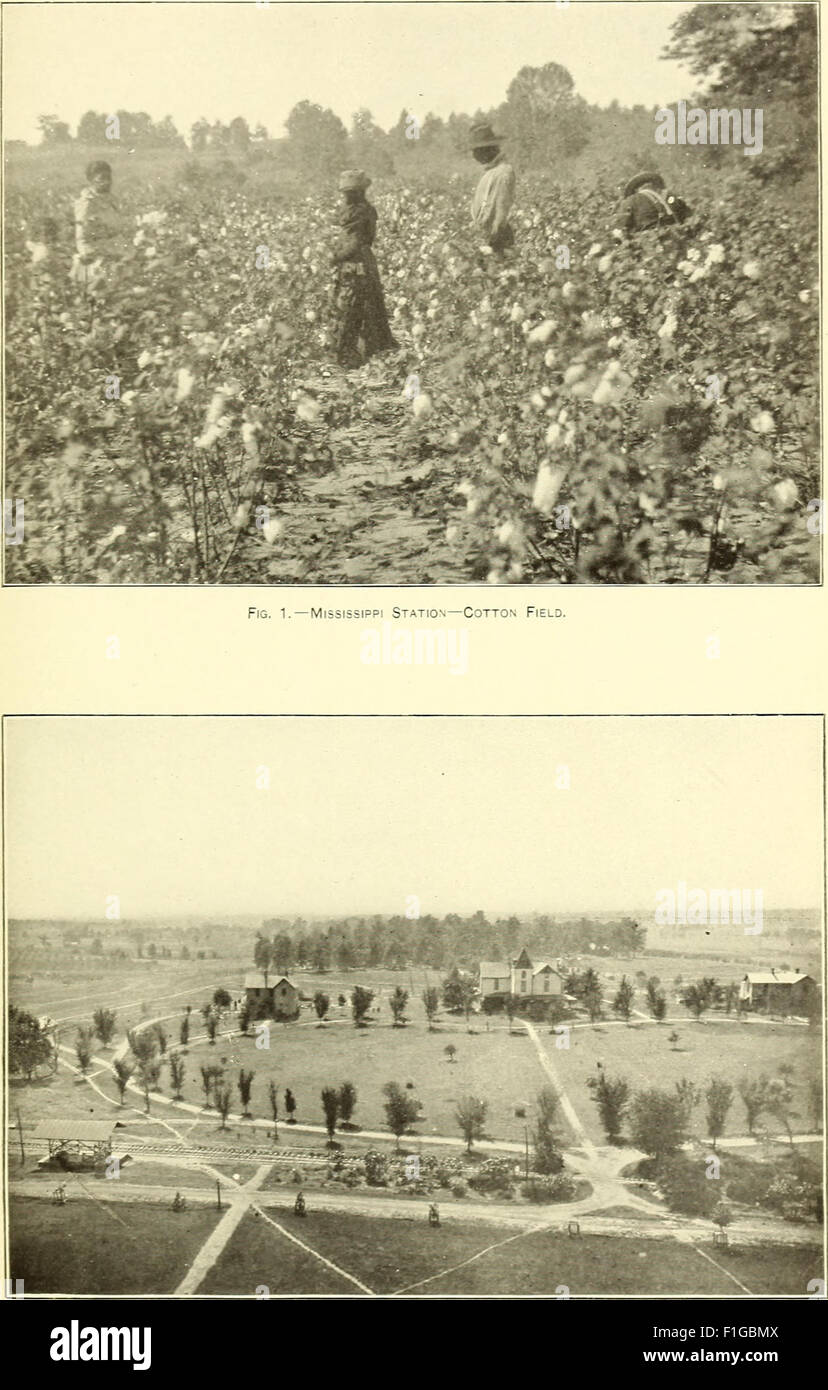 The agricultural experiment stations in the United States (1900 Stock ...