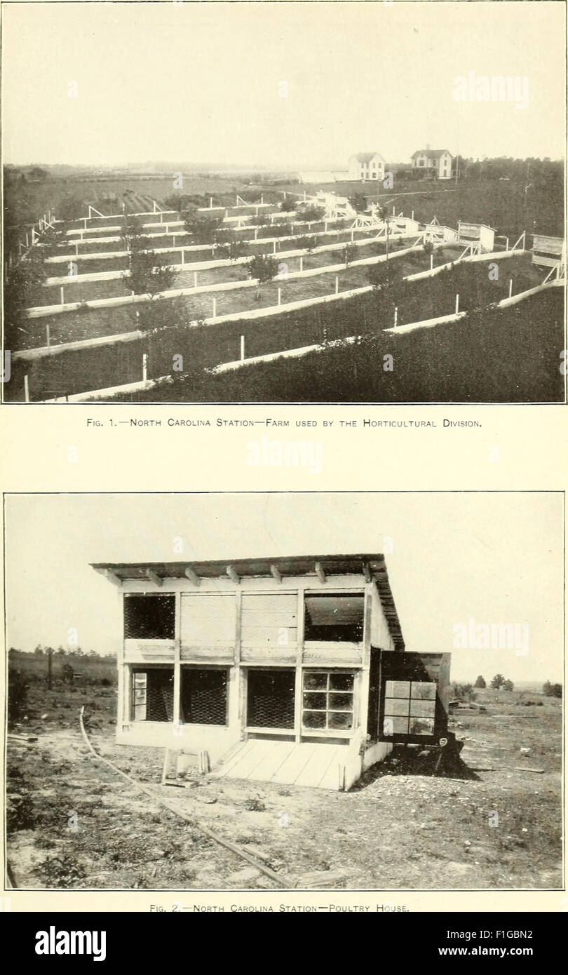 An illustration from 'The Agricultural Experiment Stations in the ...