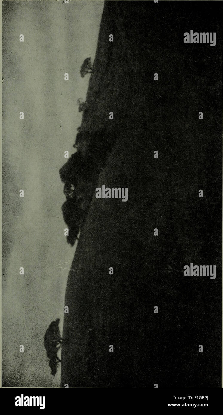 The 1919 edition of 'The American Annual of Photography' features ...