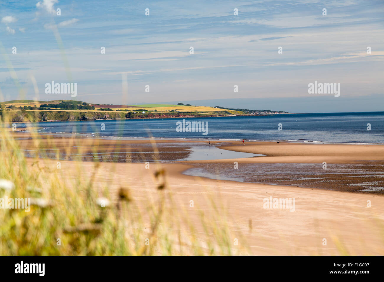 Montrose beach hi-res stock photography and images - Alamy