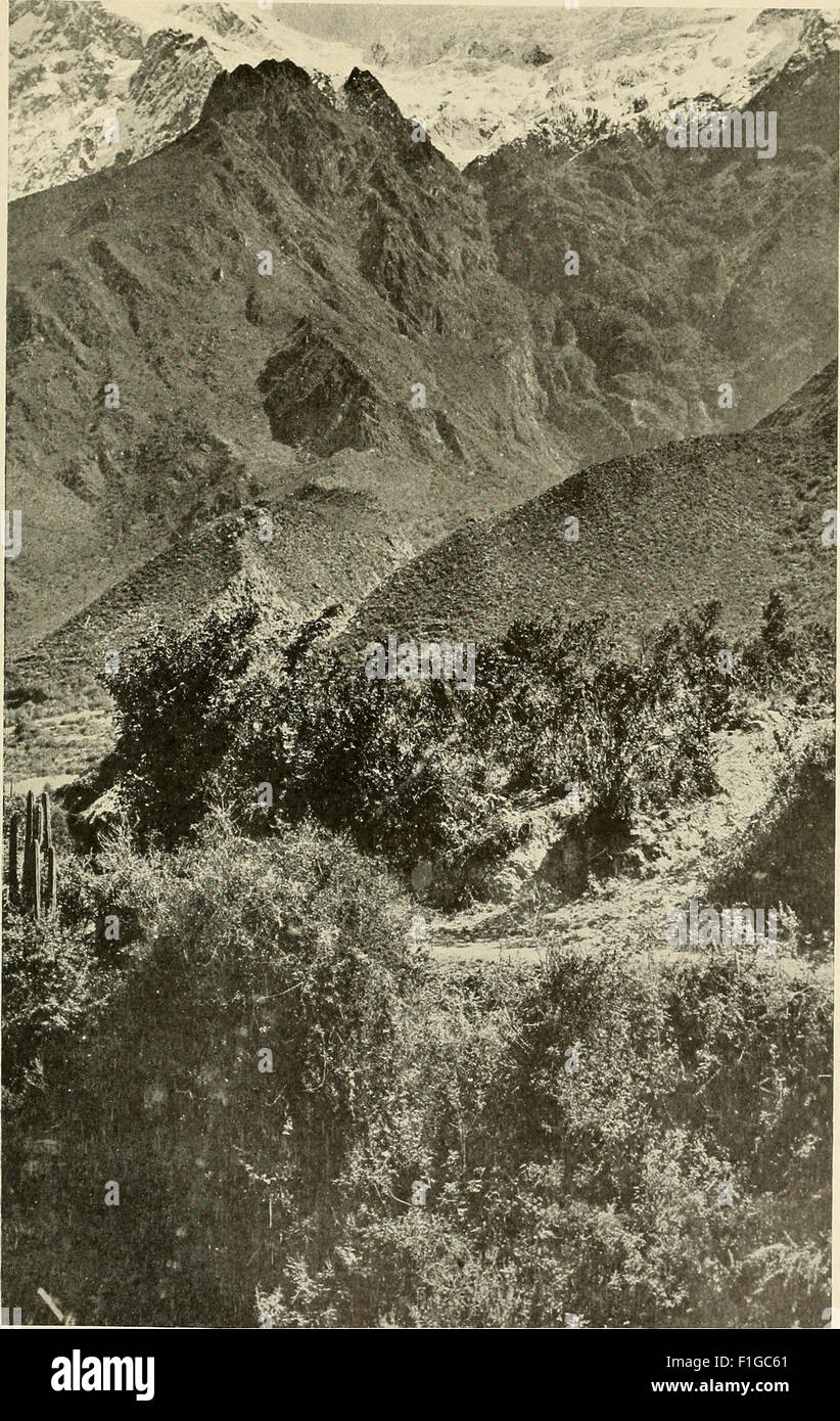 This 1916 geographical reconnaissance study explores the Andes of ...