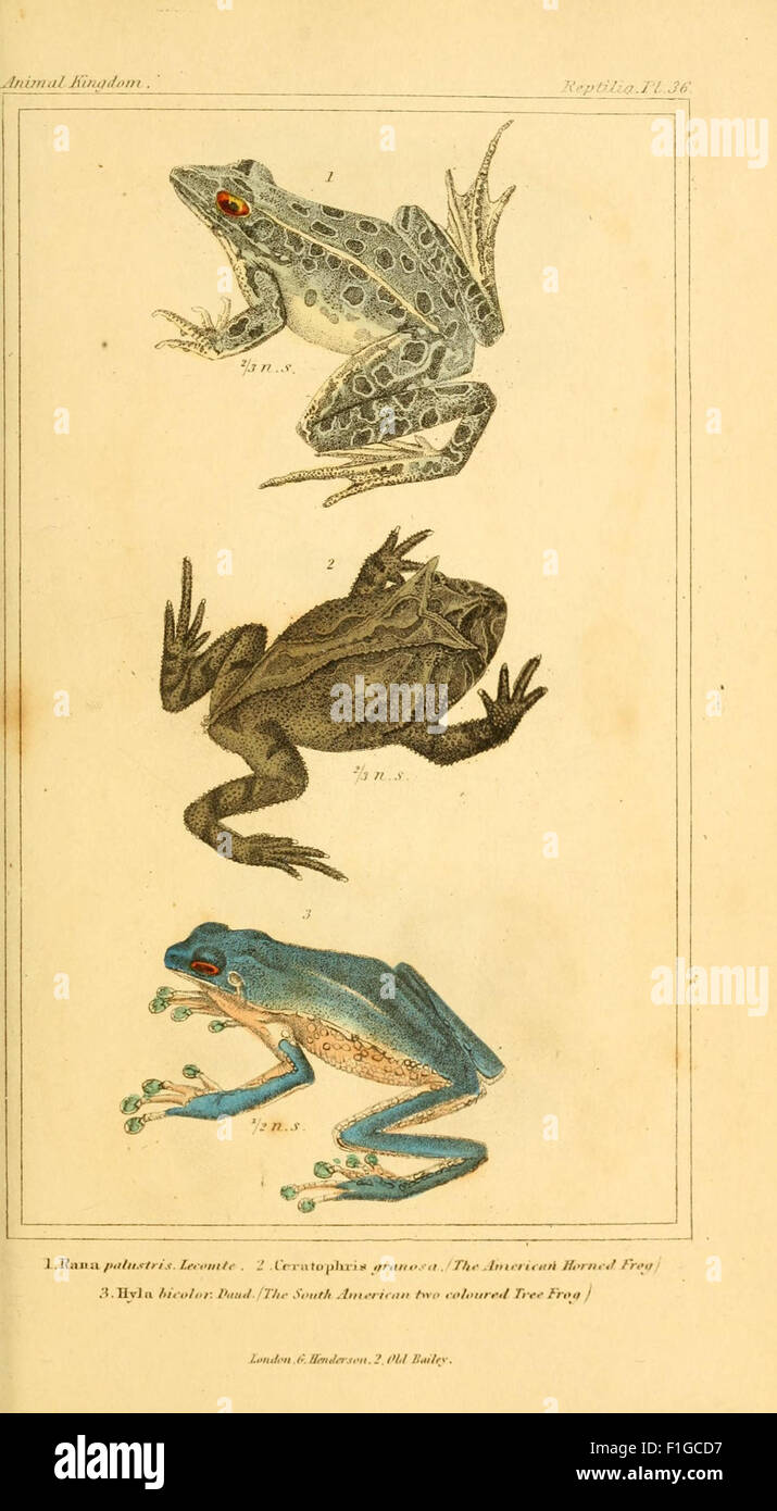 *The Animal Kingdom* is a classic work on zoology that organizes ...