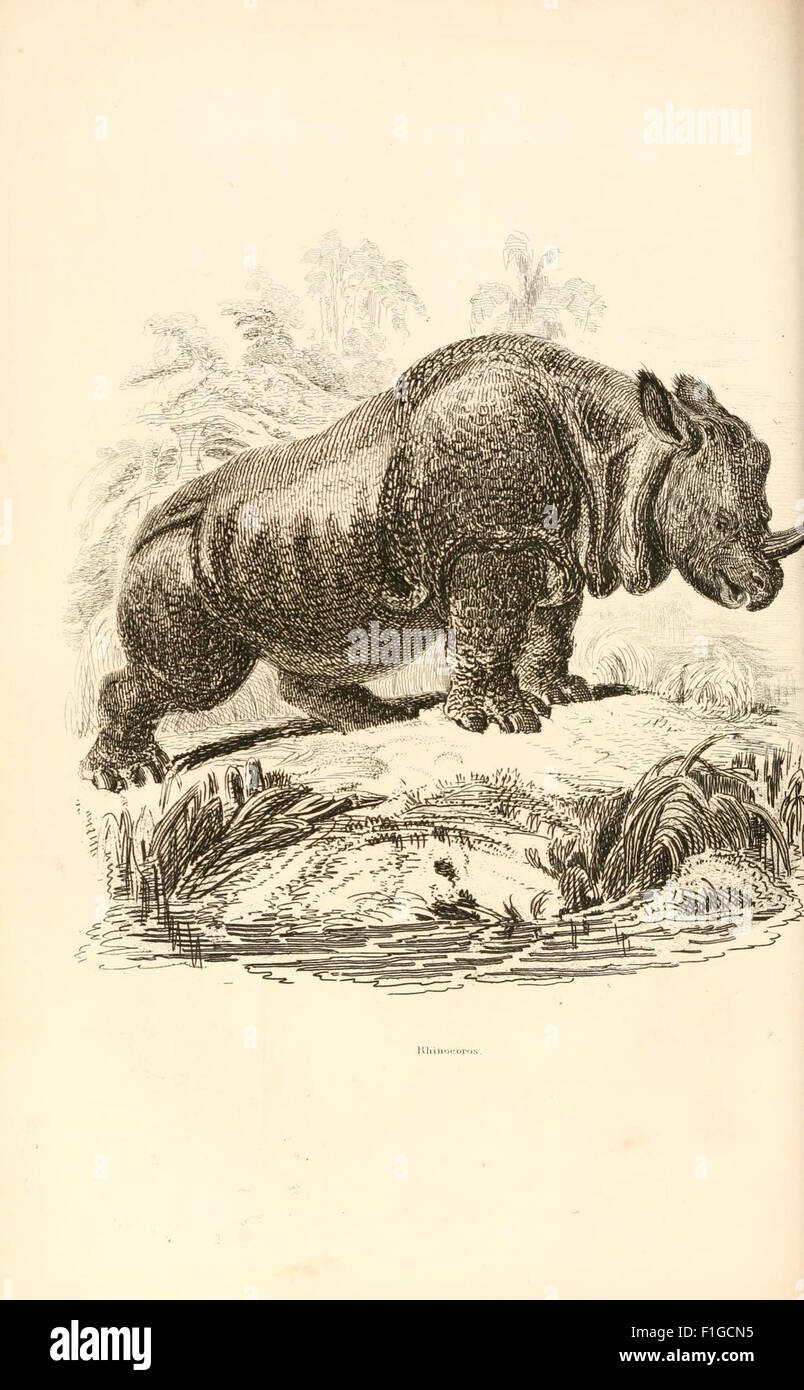 'The Animal Kingdom' is a comprehensive work on the classification and ...