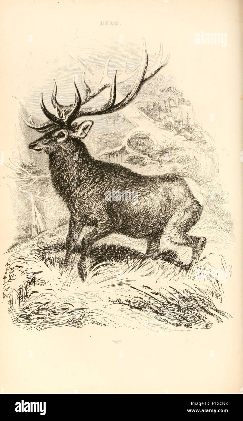 'The Animal Kingdom' is a zoological work from the Smithsonian ...
