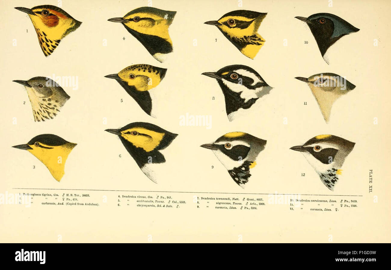 This historical work provides an overview of North American bird ...