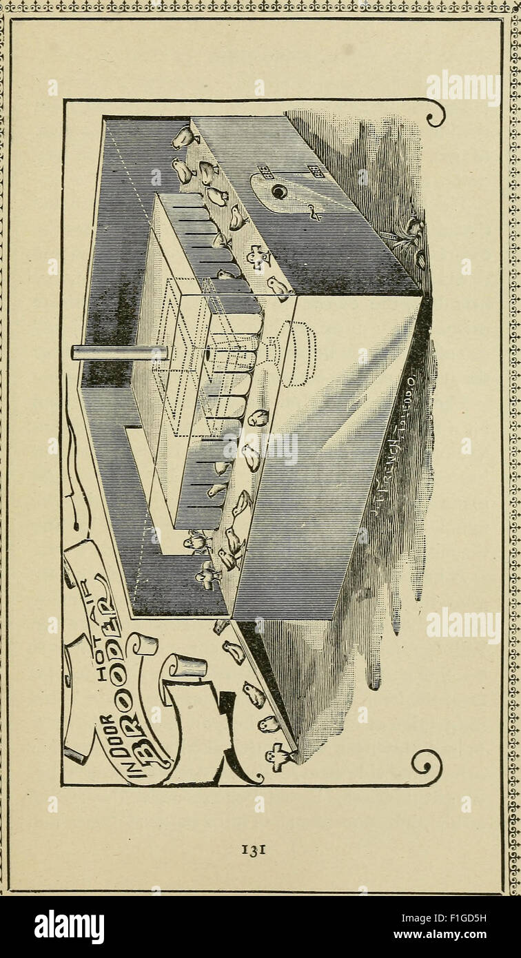 This 1894 work on the art of incubation and brooding provides detailed ...