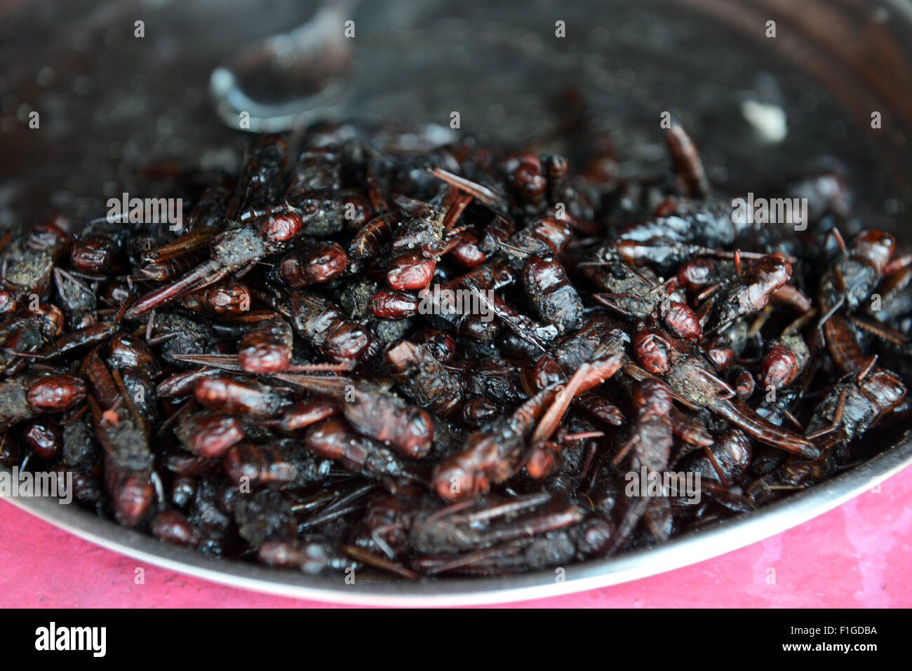 Deep poverty hi-res stock photography and images - Alamy