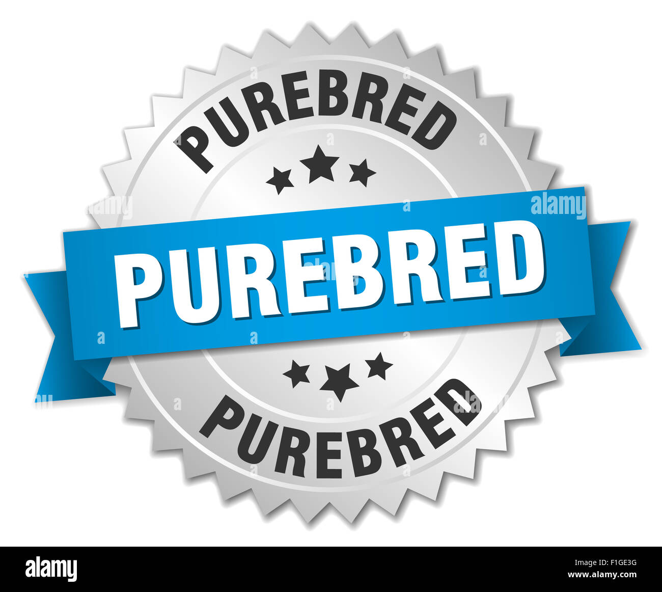 purebred 3d silver badge with blue ribbon Stock Photo - Alamy