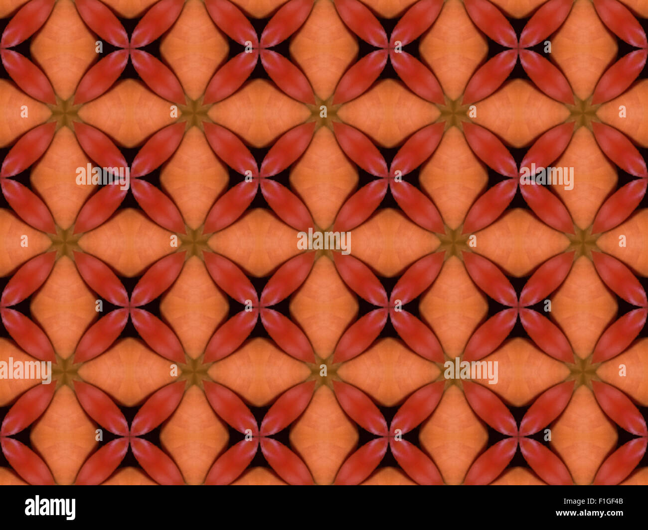 orange color drawing in kaleidoscope pattern - orange color drawing in ...