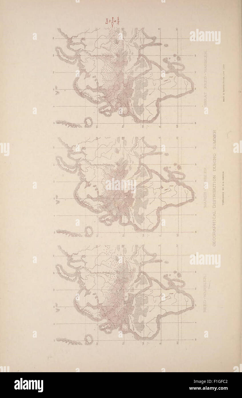 This work examines the British warblers, focusing on their ...