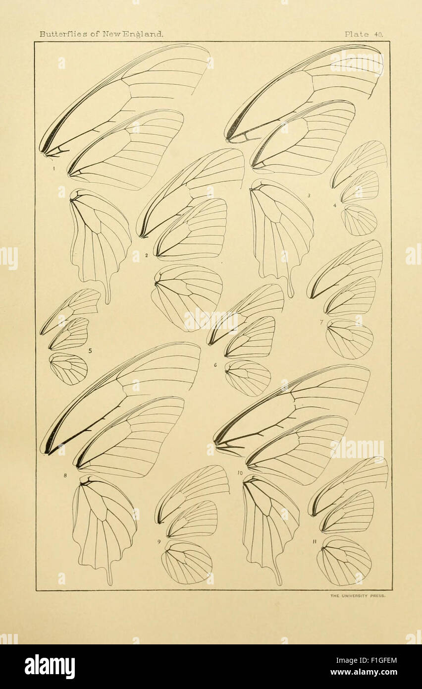 This work provides a comprehensive guide to the butterflies found in ...