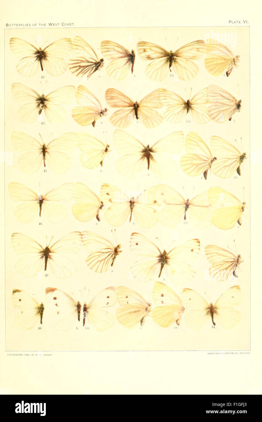 'The Butterflies of the West Coast of the United States' provides ...