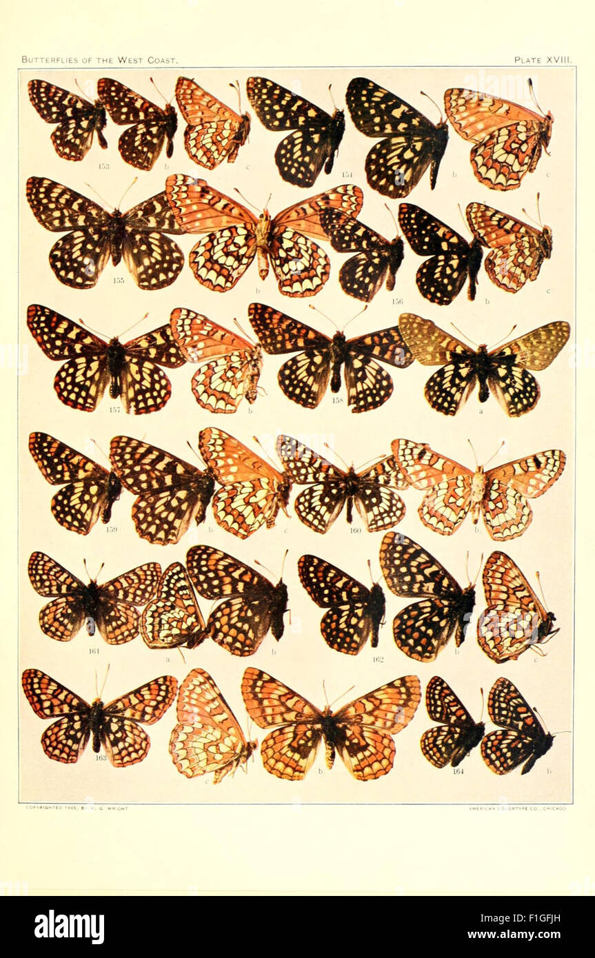 'The Butterflies of the West Coast of the United States' includes ...