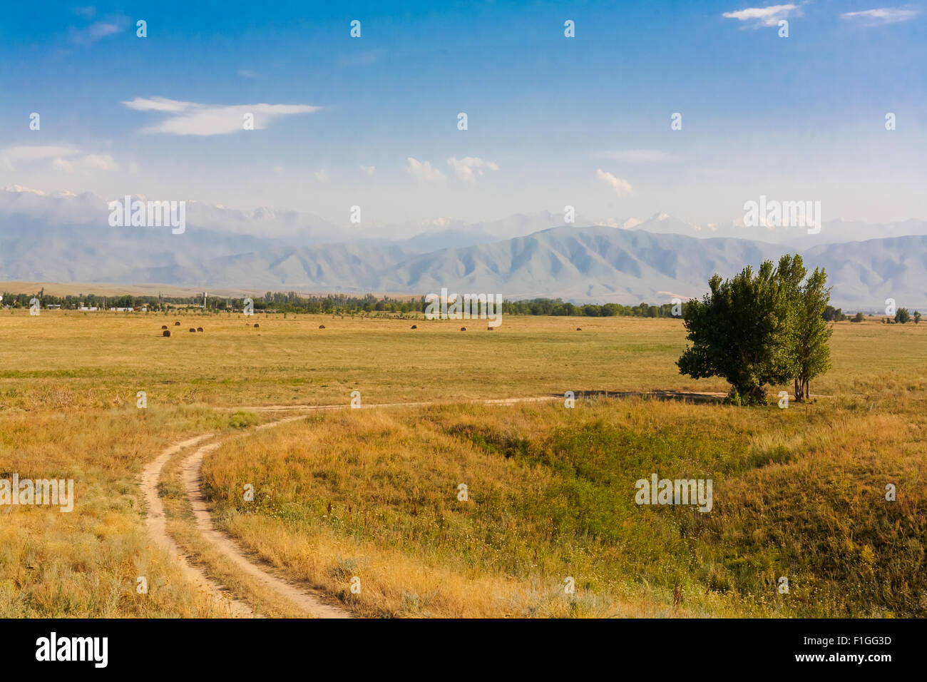 pictorial field on a background of mountains Stock Photo - Alamy