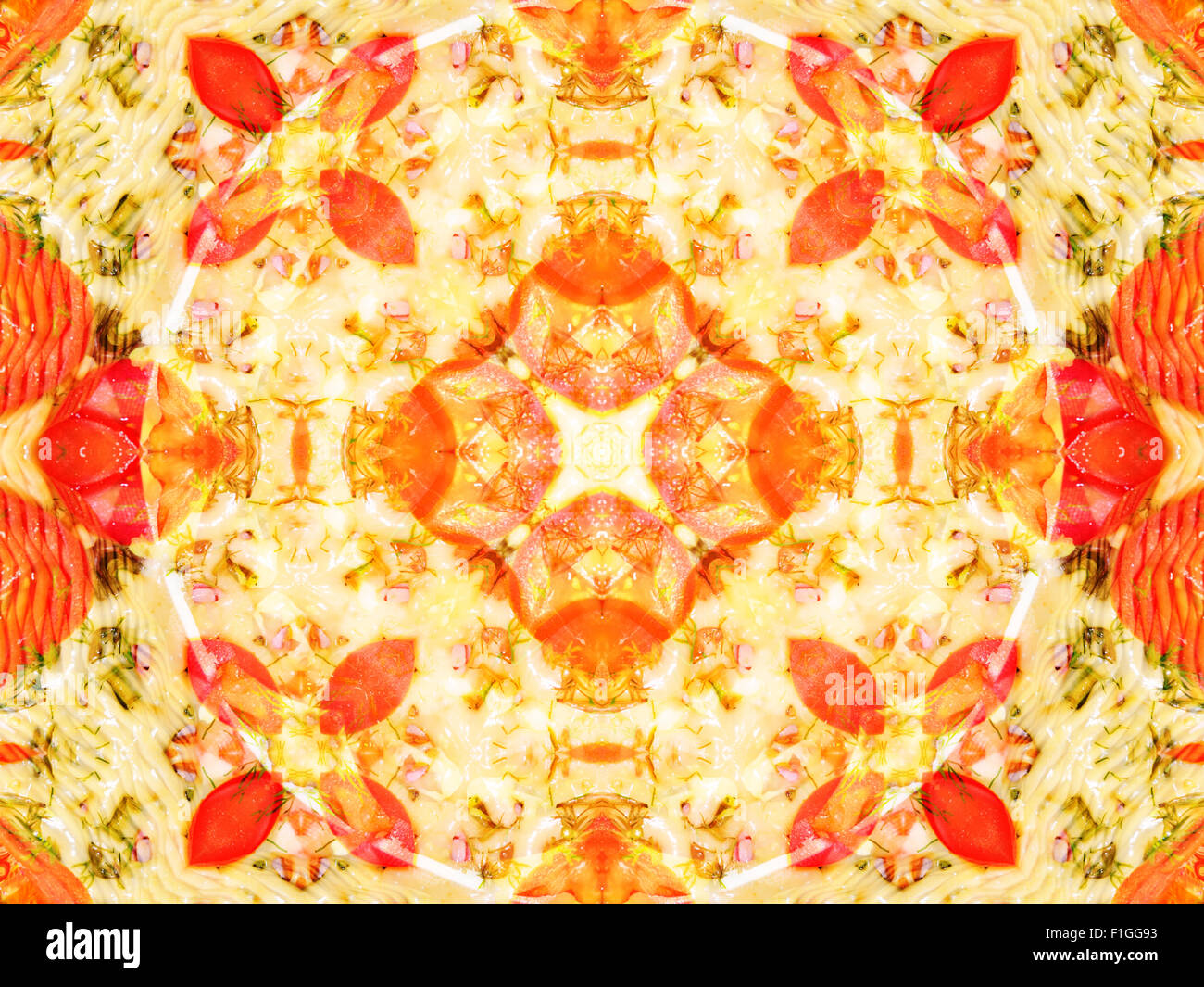 orange color drawing in kaleidoscope pattern - orange color drawing in ...