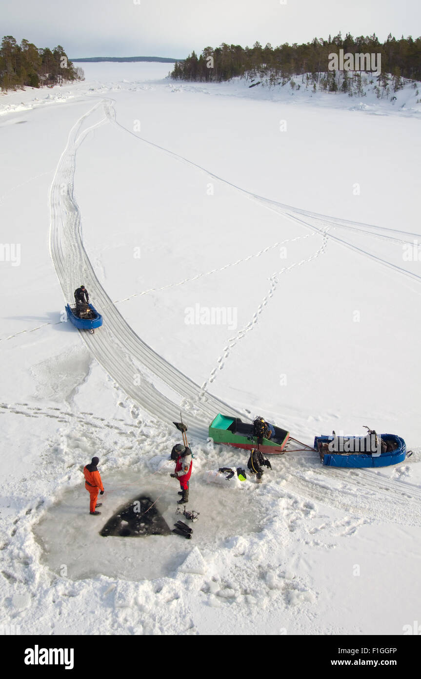 Oct. 15, 2014 - White Sea, Arctic, Russia - ice-diving on White Sea ...