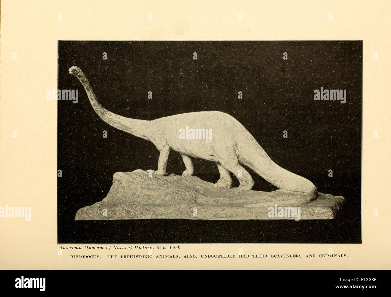 This work explores the emotional and behavioral connections between ...