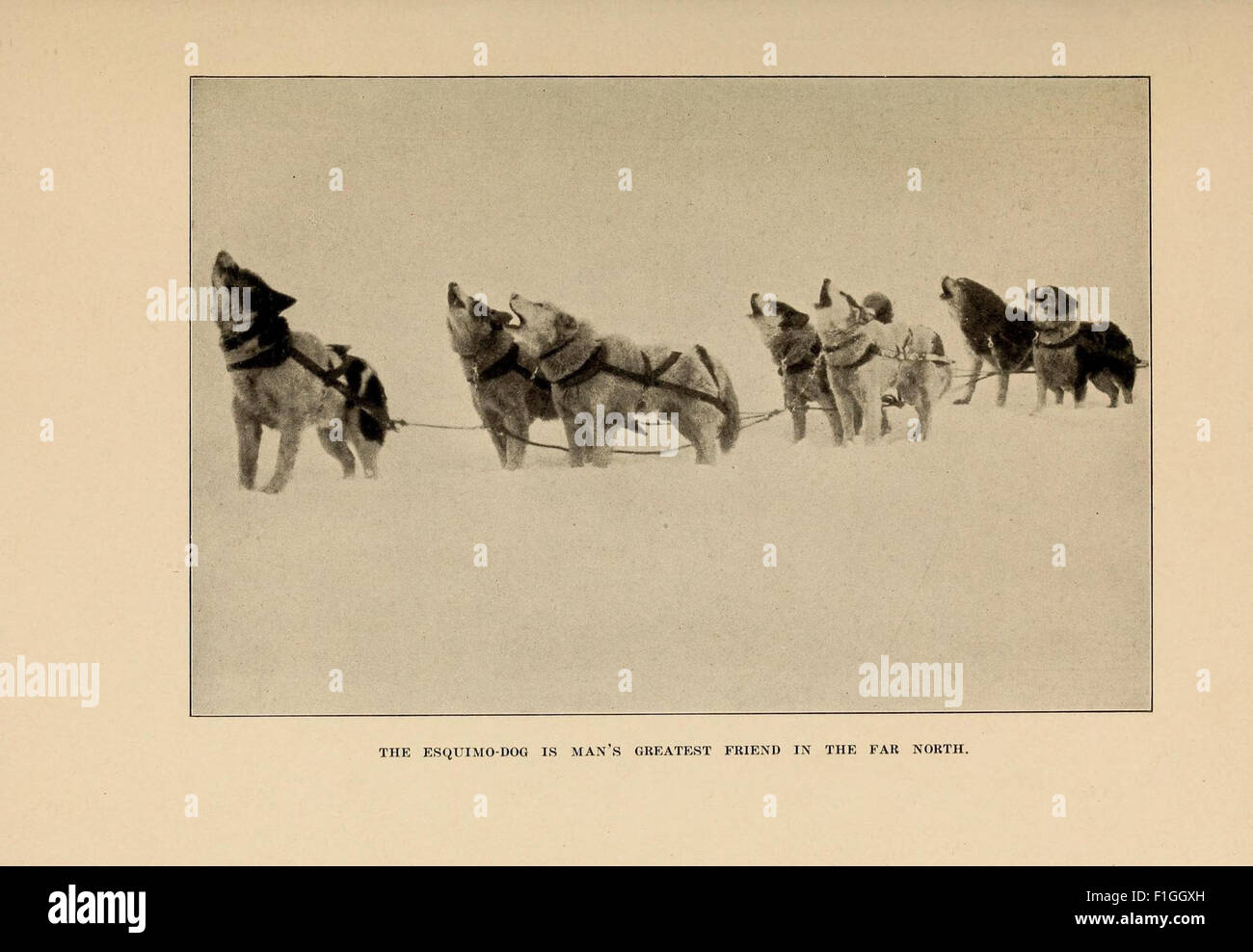 An exploration of the emotional and behavioral connections between ...