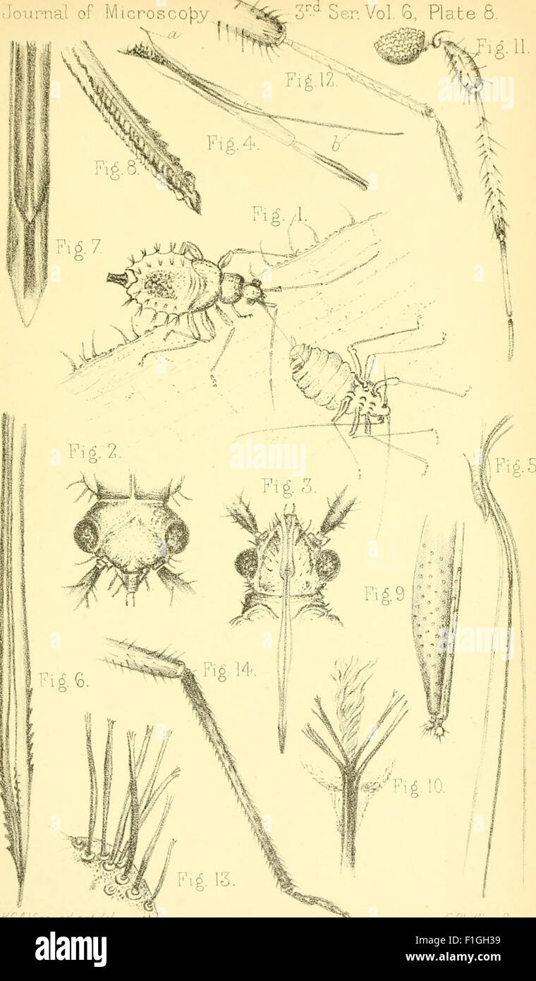 This 1896 journal covers advances in microscopy and natural science ...