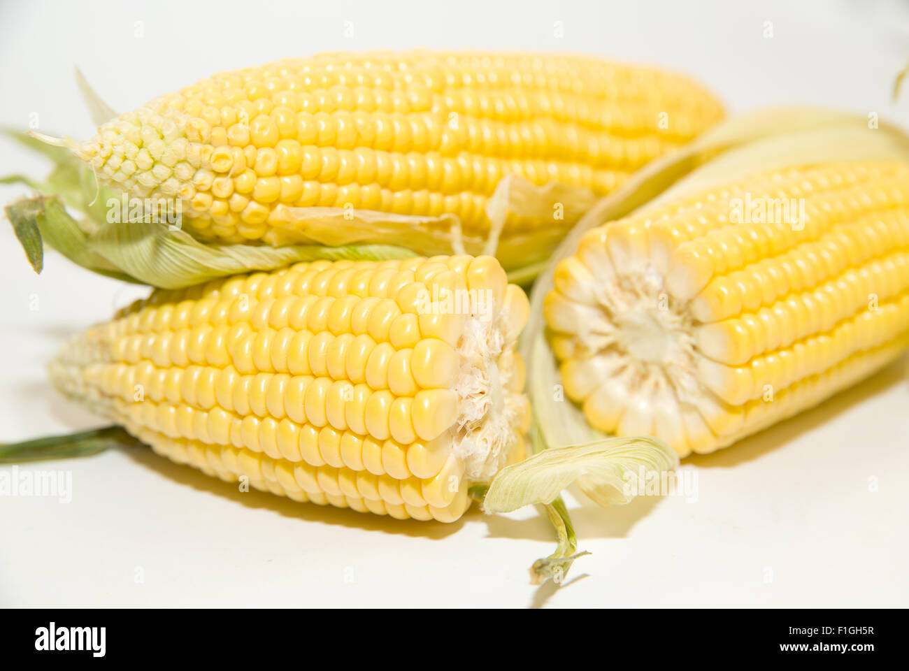 A few mature ears of corn on over white Stock Photo - Alamy