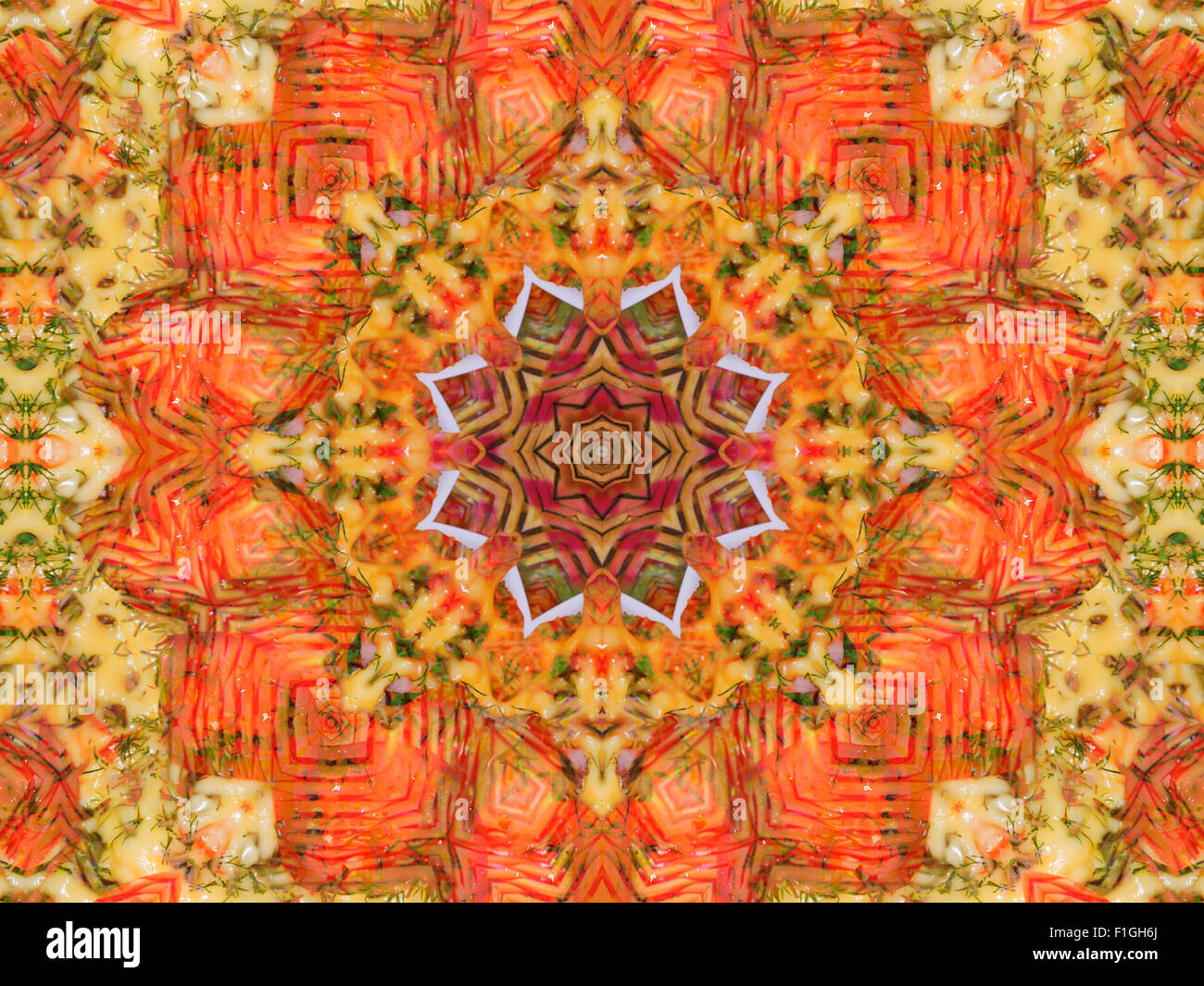 orange color drawing in kaleidoscope pattern - orange color drawing in ...