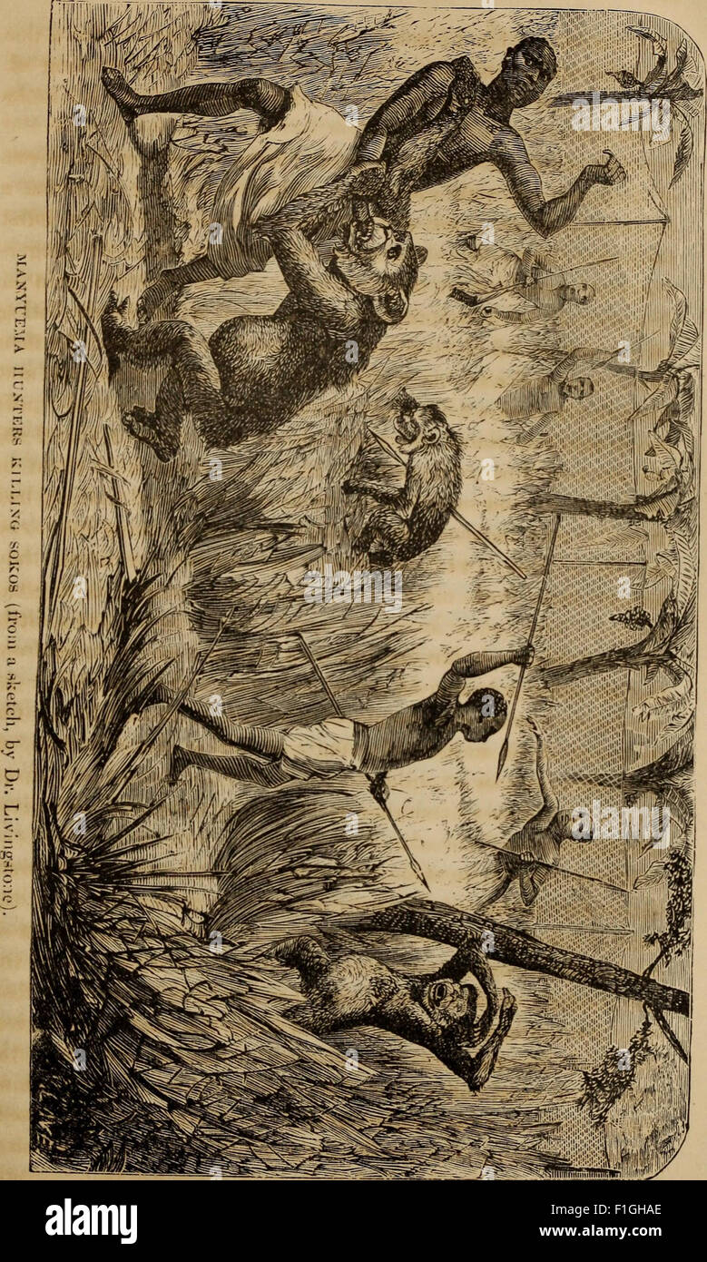 This biography of David Livingstone details his travels and missionary ...