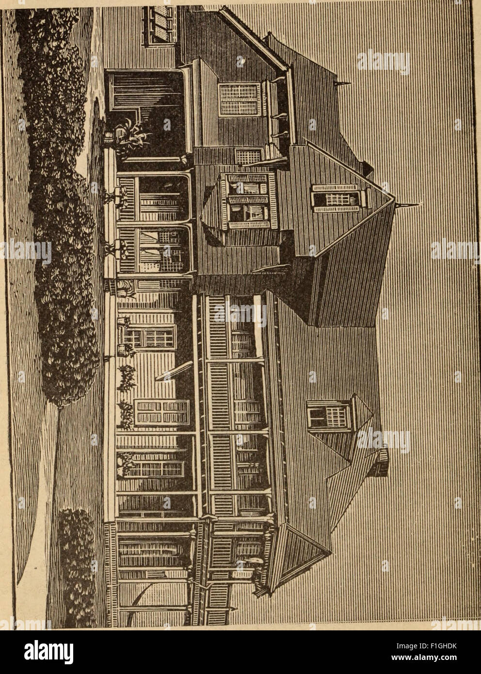 The life of Guiteau and the official history of the most exciting case ...