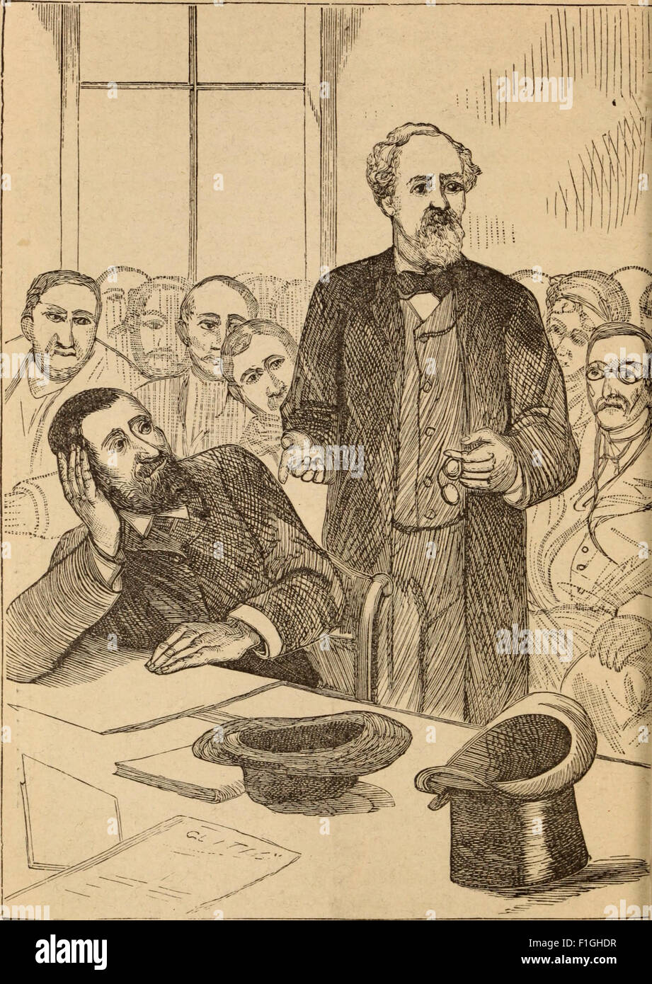 *The Life of Guiteau* (1882) covers the trial and execution of Charles ...