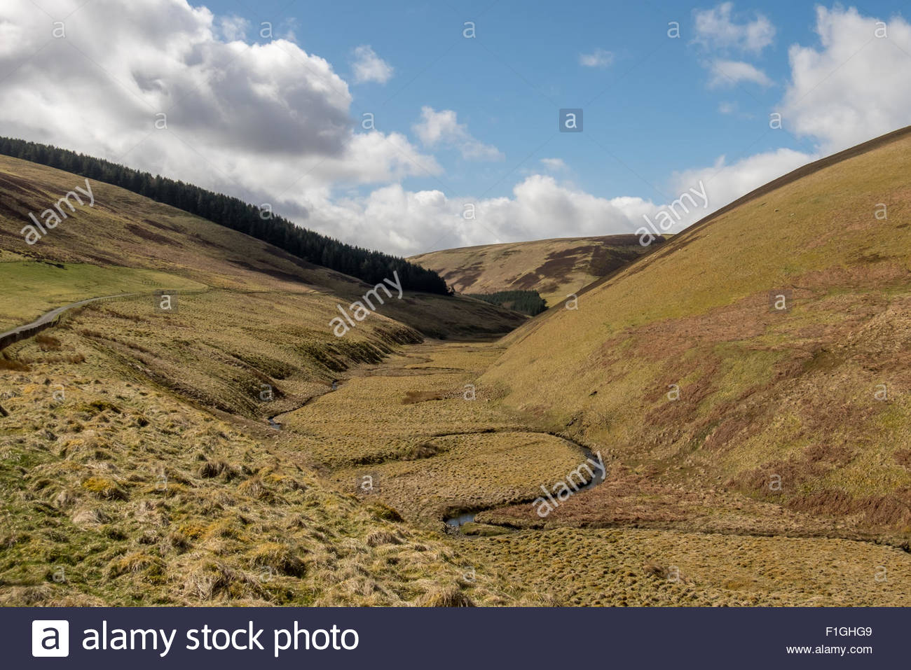 Coulter Road High Resolution Stock Photography and Images - Alamy