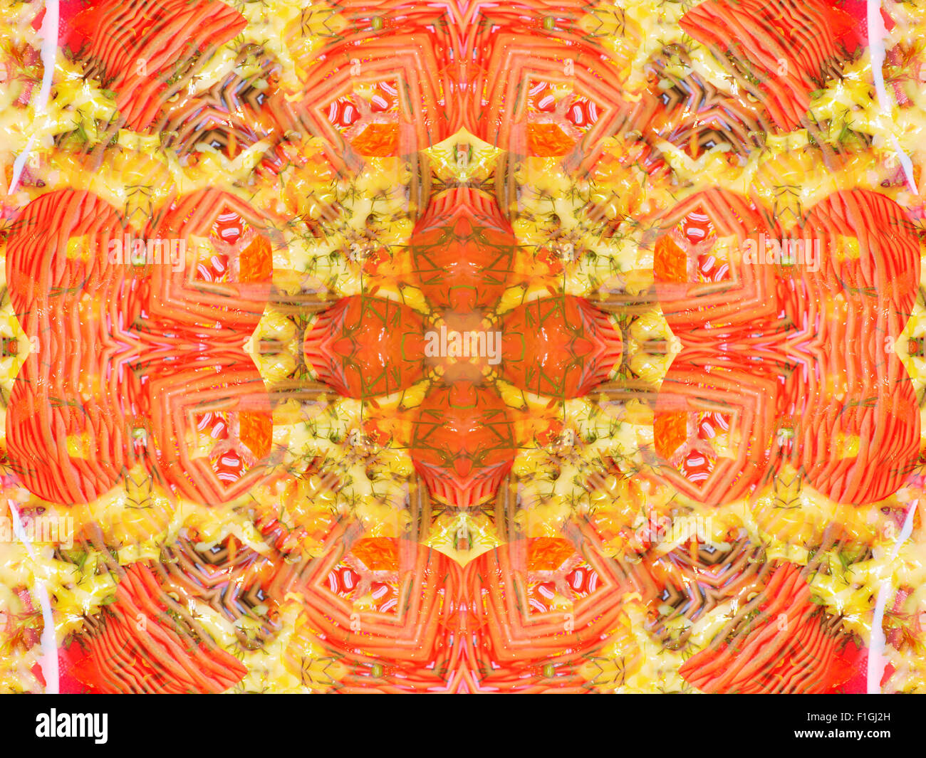 orange color drawing in kaleidoscope pattern - orange color drawing in ...