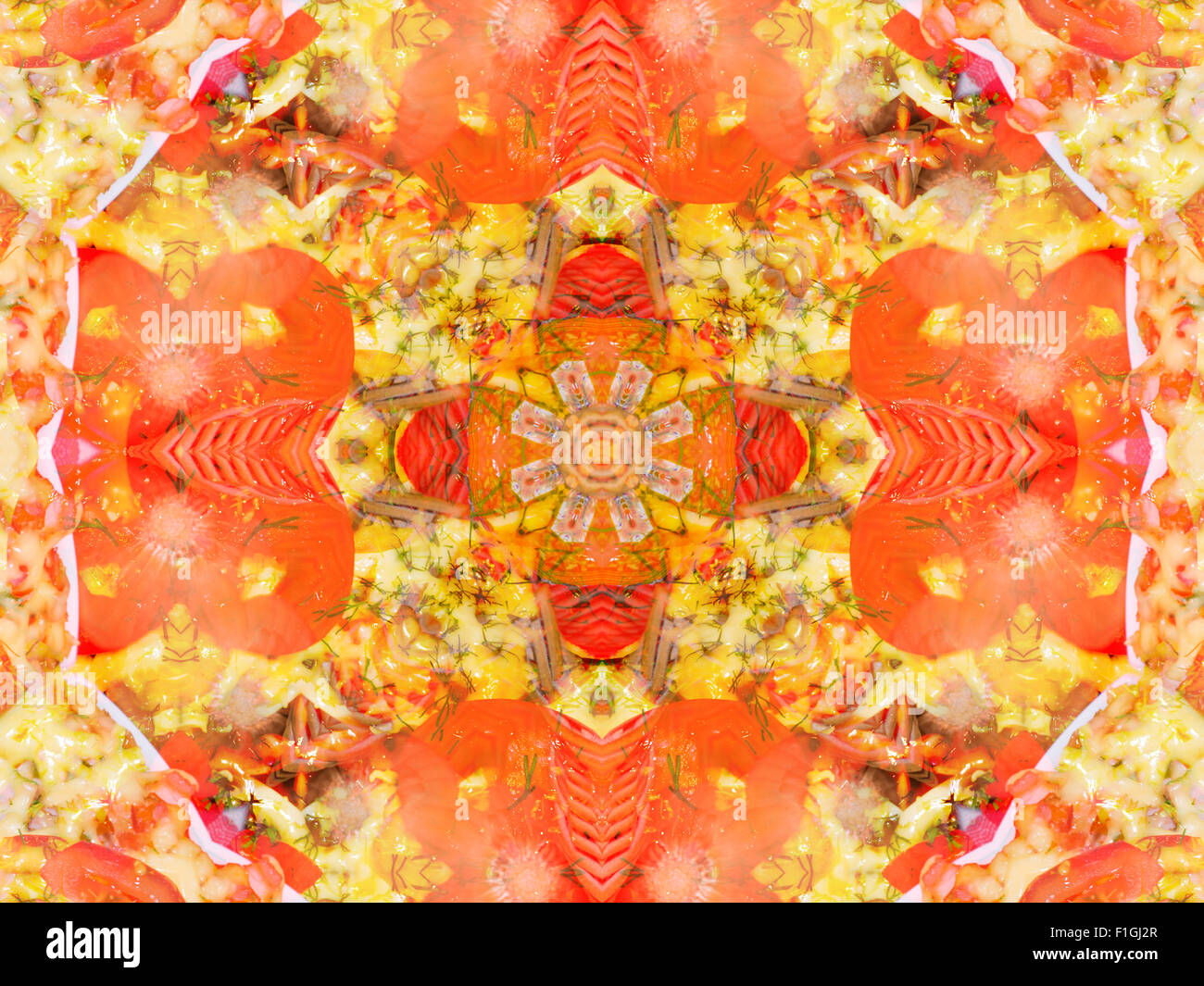 orange color drawing in kaleidoscope pattern - orange color drawing in ...