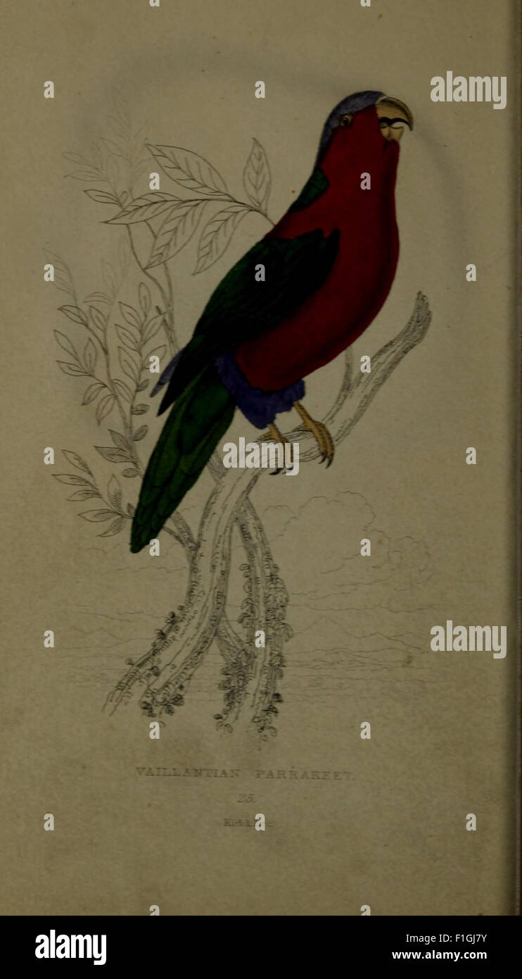 *The Miscellany of Natural History* (1785-1851) includes various ...