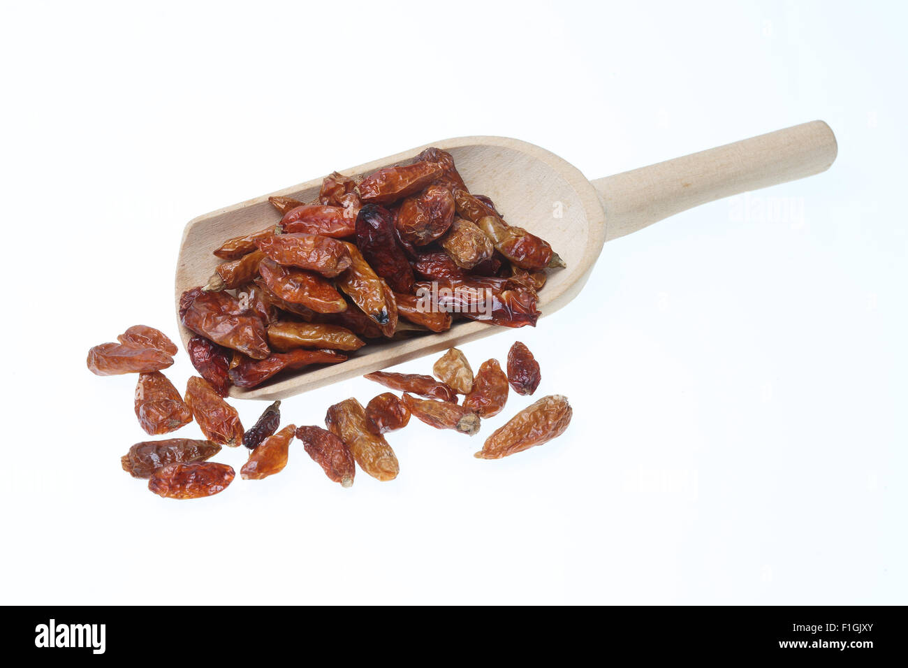 Chili annuum style Pequin or Tepin, Capsicum 'Pequin', an ancient form ...