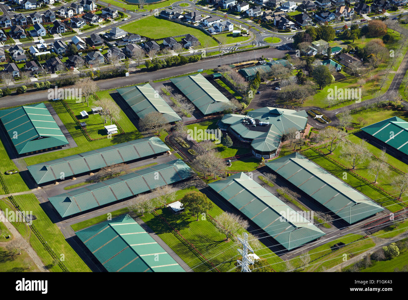 Karaka Sales Complex for selling thoroughbred horses, Karaka, Auckland ...