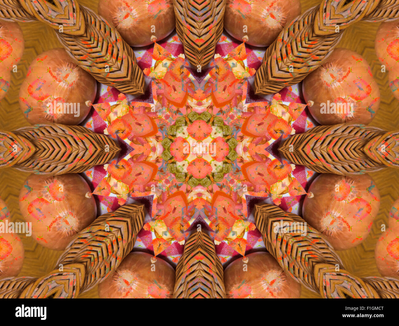 orange color drawing in kaleidoscope pattern - orange color drawing in ...