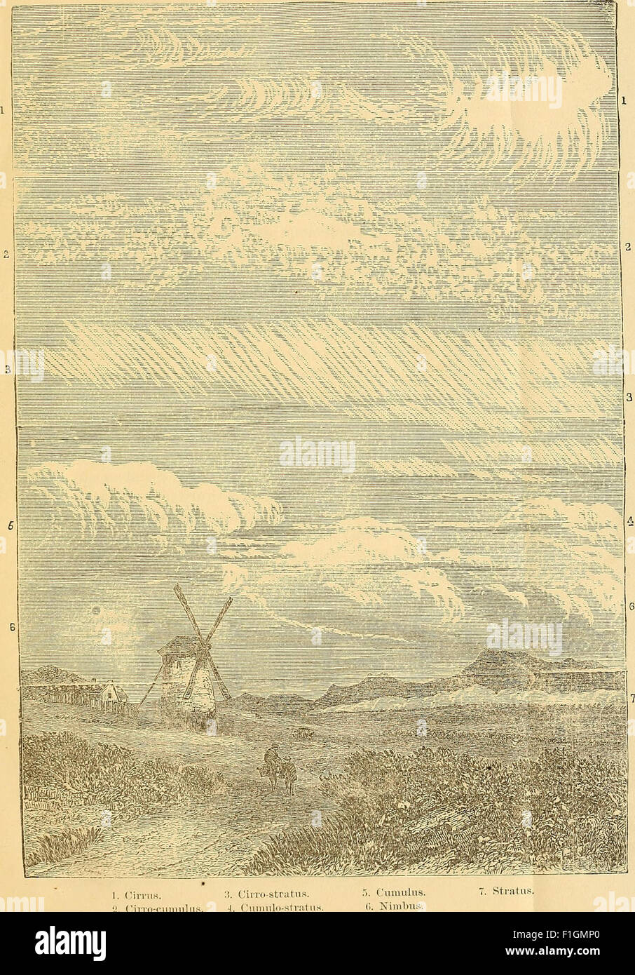The practical use of meteorological reports and weather-maps (1871 ...