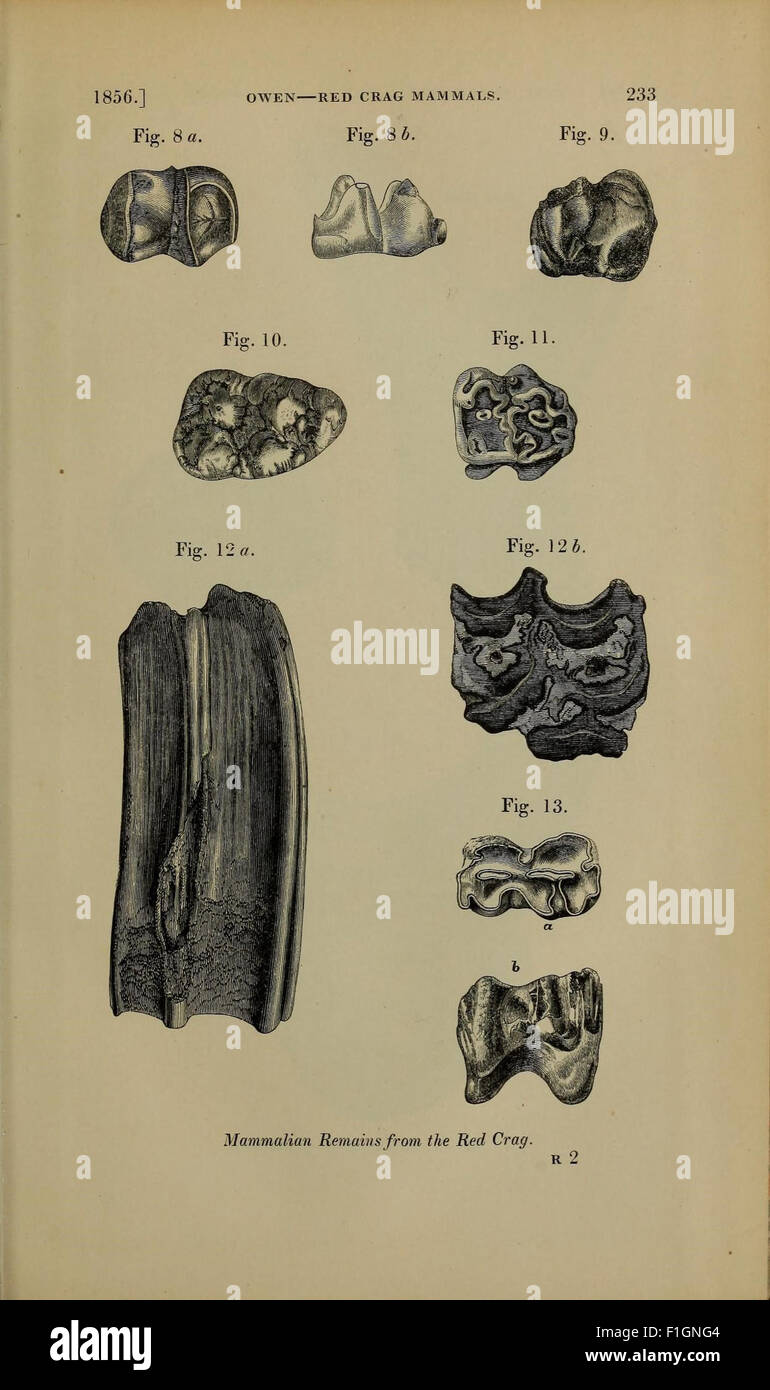 This periodical provides insights into the geological research ...