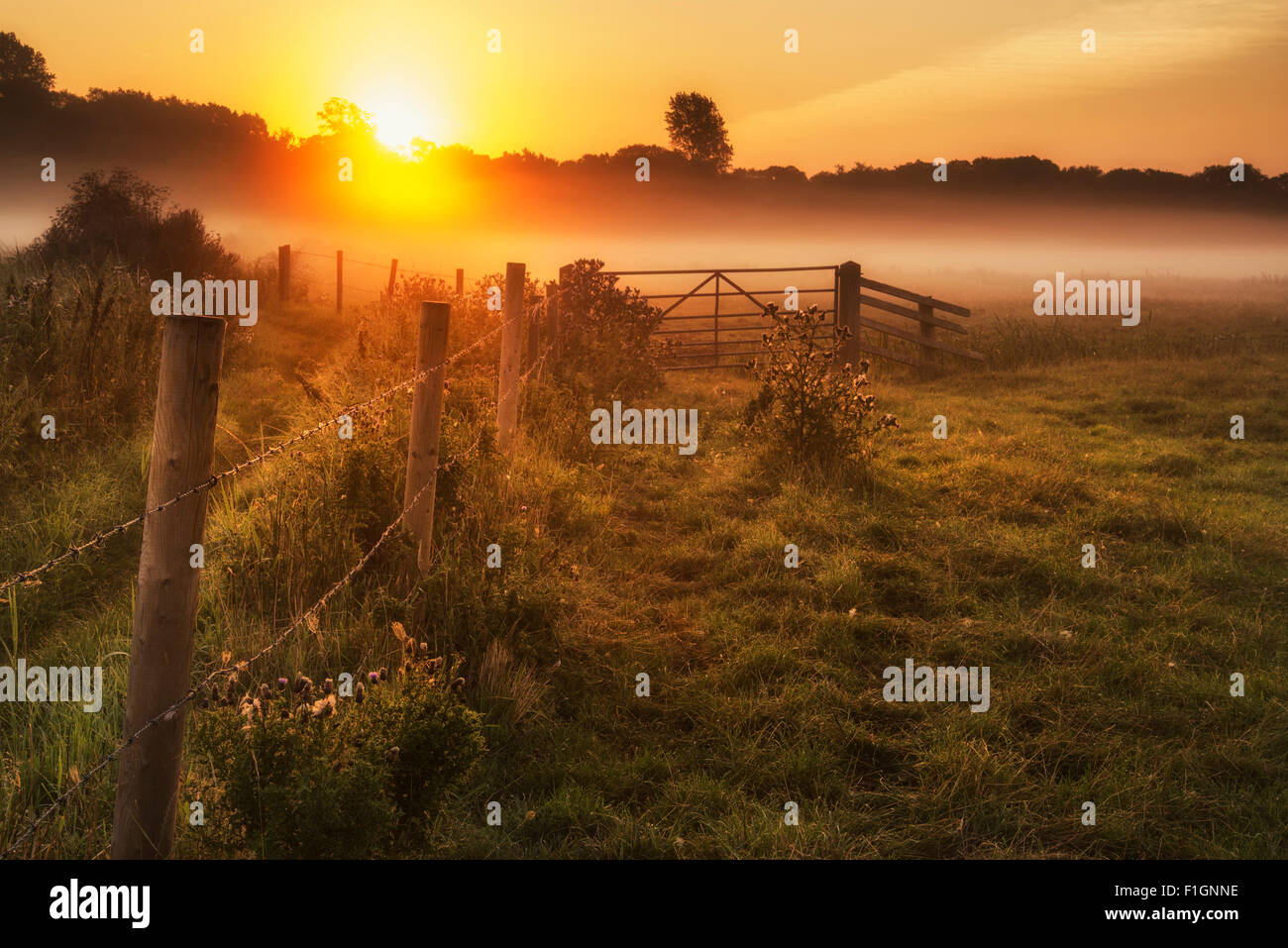 Countryside mist gate hi-res stock photography and images - Alamy